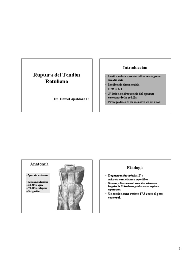 Rotura Del Tendon Patelar - PPT (Sólo Lectura) | PDF | Rodilla ...