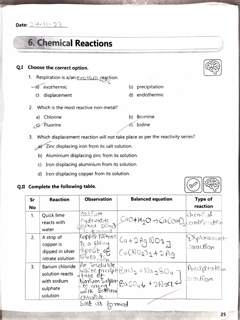 Ch.6 Chemical Reactions WB | PDF | Chemical Reactions | Chlorine