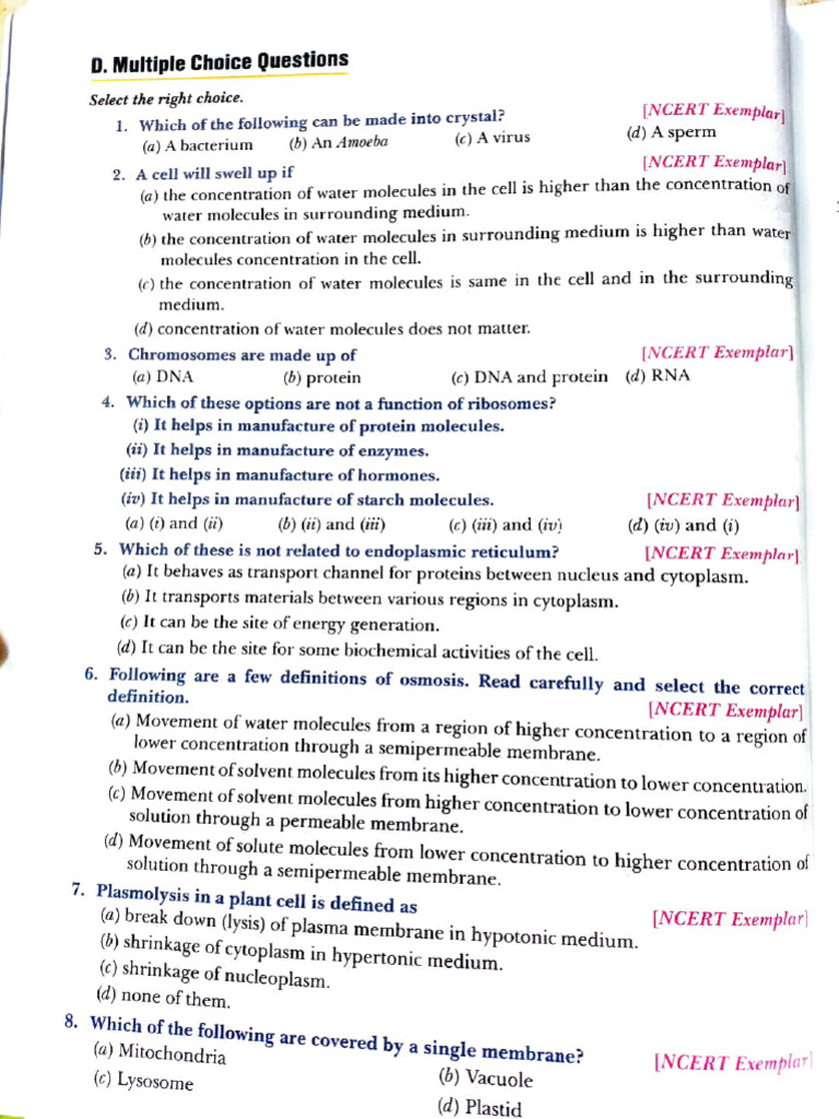 Cell MCQ | PDF | Cell (Biology) | Endoplasmic Reticulum