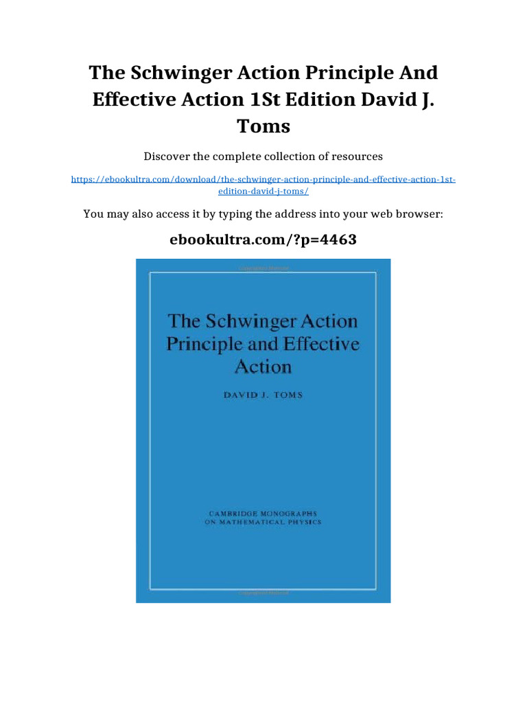 The Schwinger Action Principle and Effective Action 1st Edition David J ...