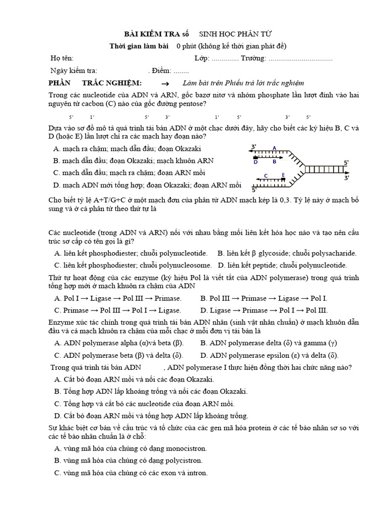 Bai Ktra Test SHPT No1 - 1 | PDF