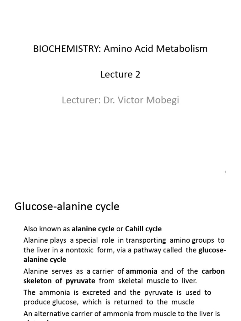 Amino Acid Met - Lect2 - 2025 | PDF | Biosynthesis | Alanine