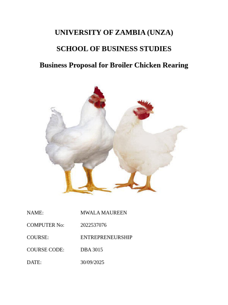 Bloila Chicken Business Proposal | PDF | Poultry Farming | Procurement