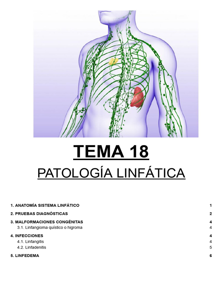 Tema 18.- Patología Linfática | PDF | Sistema linfático | Sistema ...