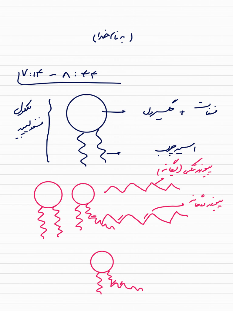 Notes_251204_203846 | PDF