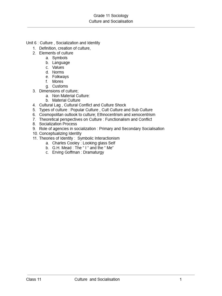 Culture Socialisation and Identity | PDF | Socialization | Sociology