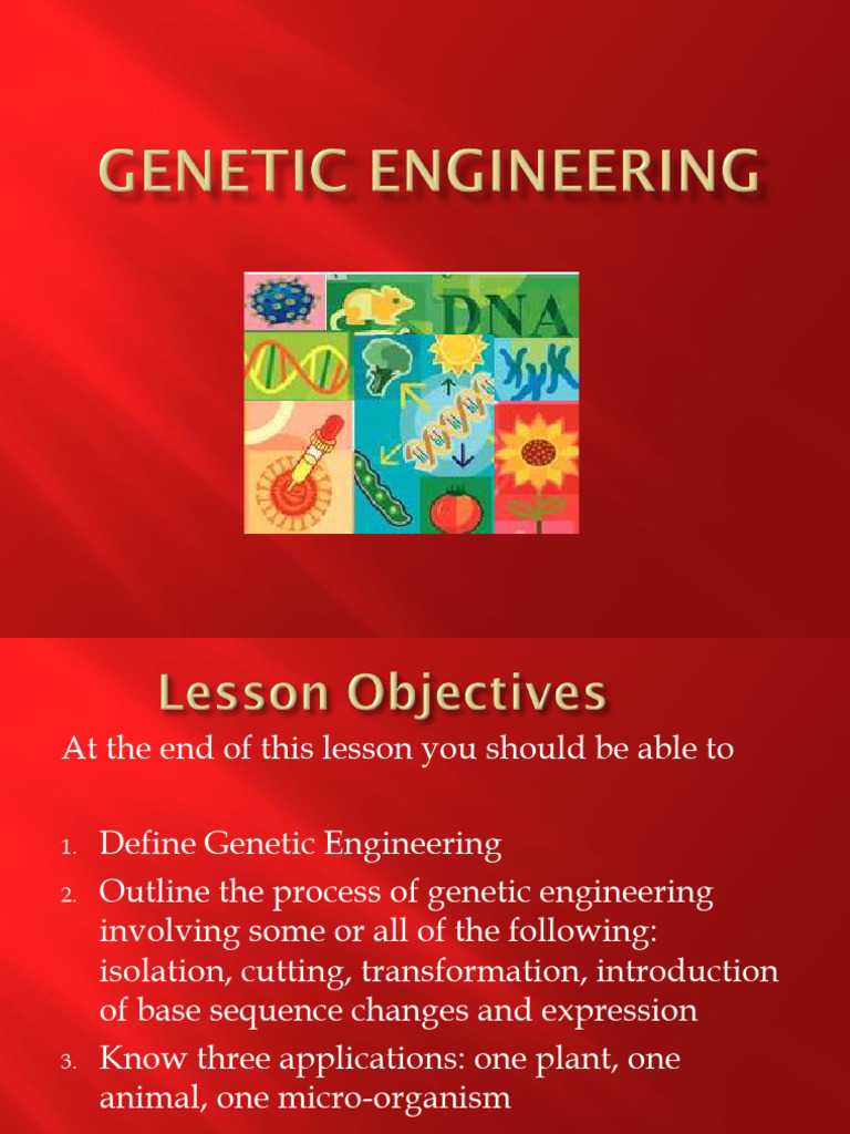 Lesson 1 Genetic Engineering | PDF | Genetic Engineering | Recombinant Dna