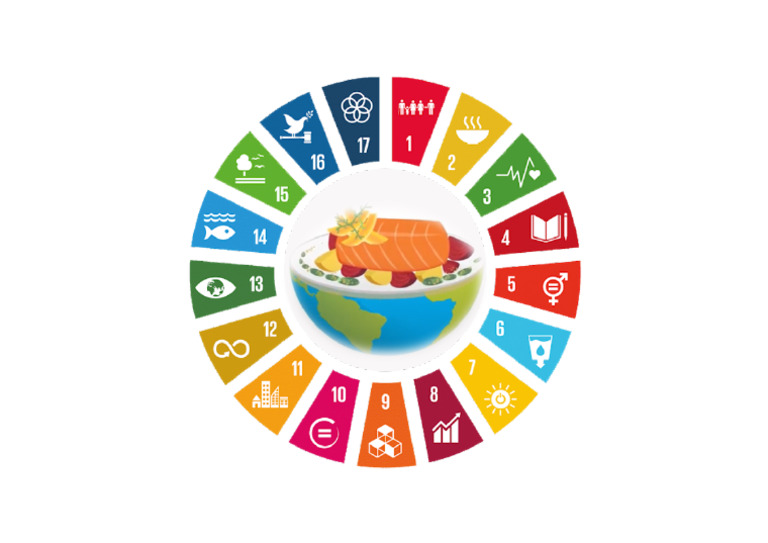 Un 17 Goals of Sustainable Development | PDF