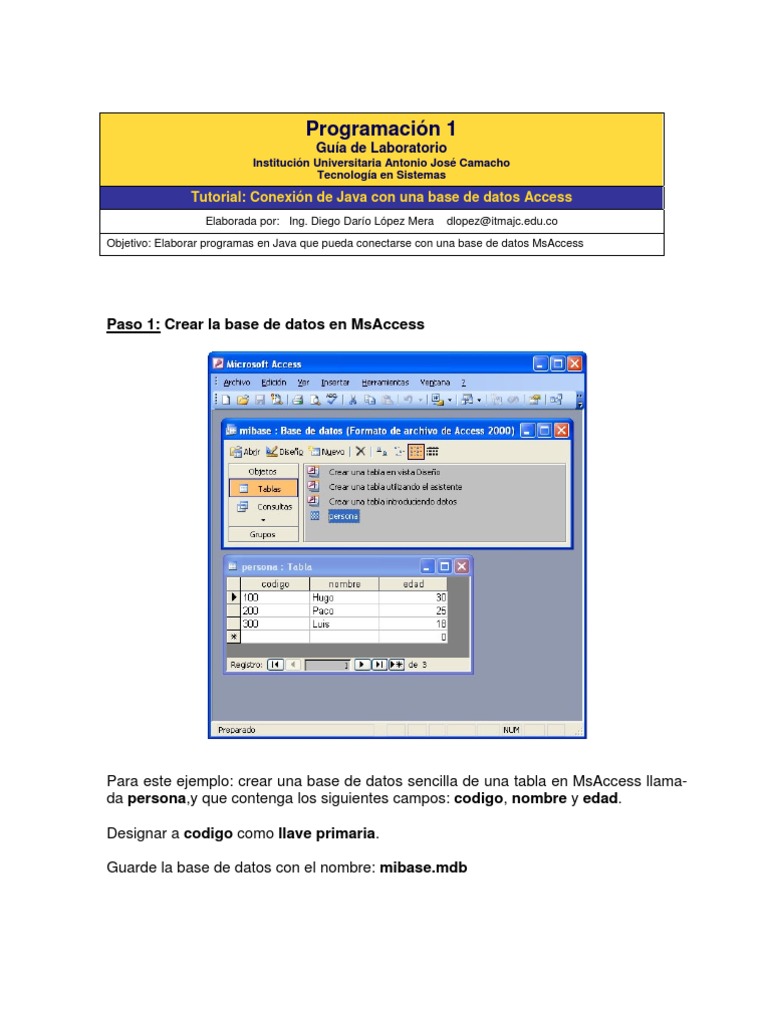 Proyecto Netbeans - Access | PDF