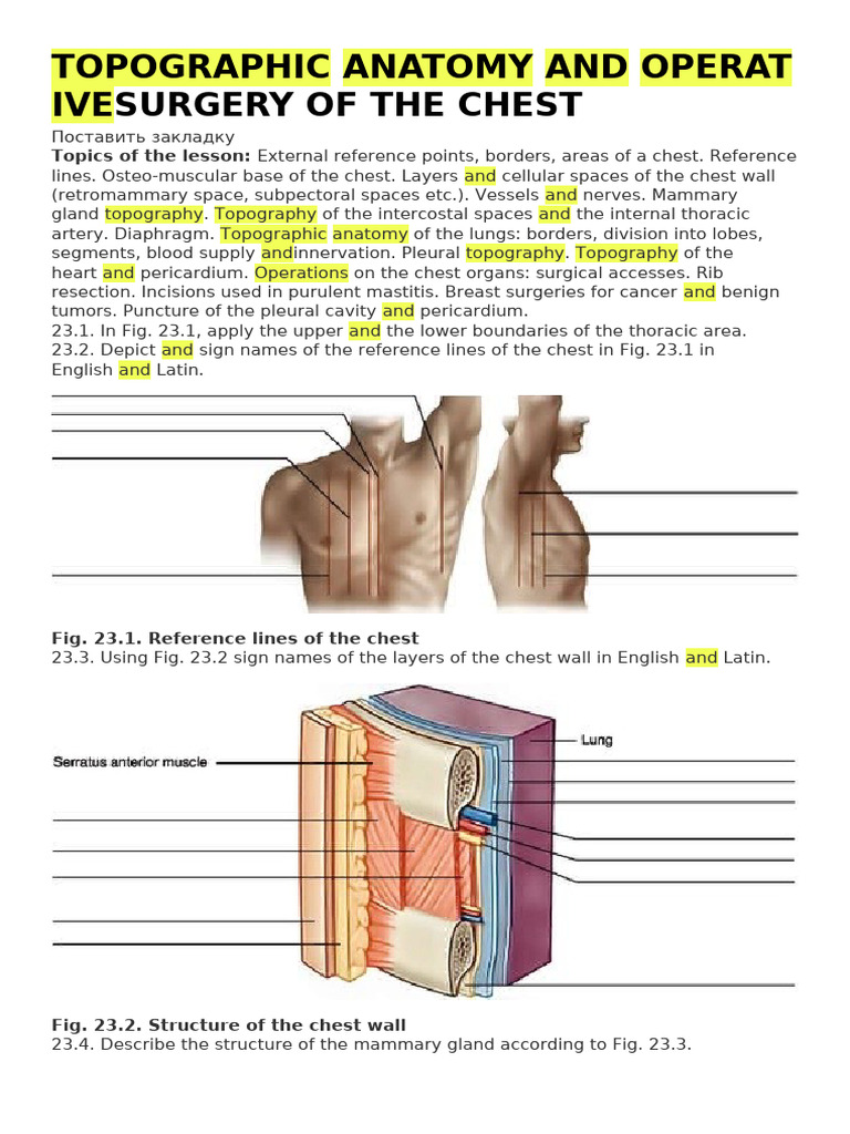 Chest | PDF | Thorax | Lung