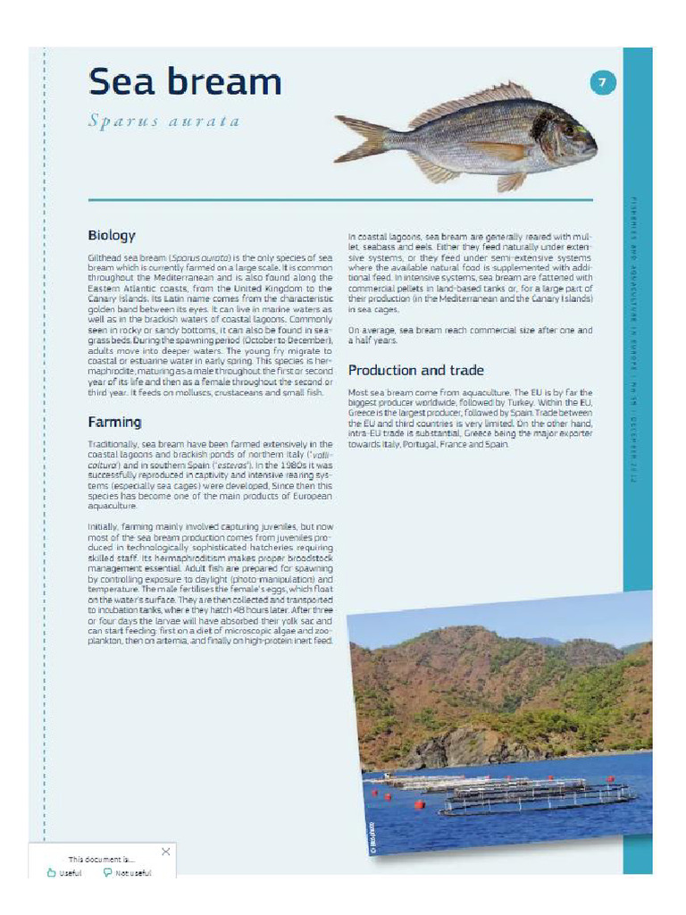 Seabream Factsheet | PDF