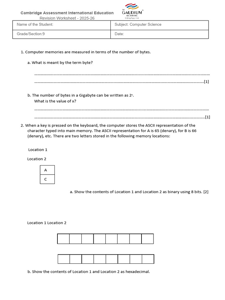 Gr9 Revision Worksheet Term 1 | PDF | Computer Science | Computer Data