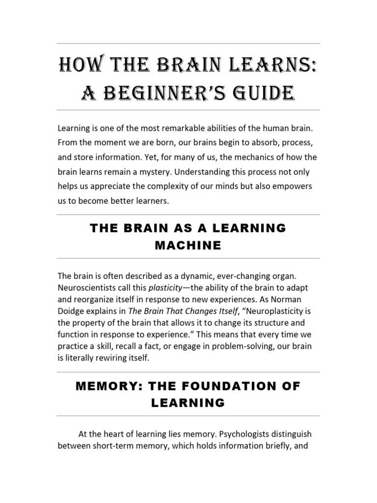 How The Brain Learns | PDF | Learning | Memory