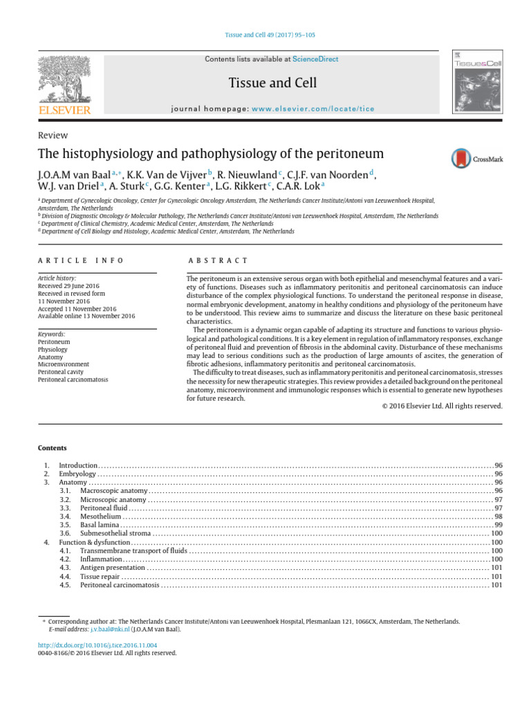 The Histophysiology and Pathophysiology of The Peritoneum | PDF ...
