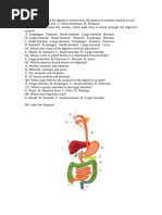 Complete vs. Incomplete Digestive Systems | PDF | Digestion ...