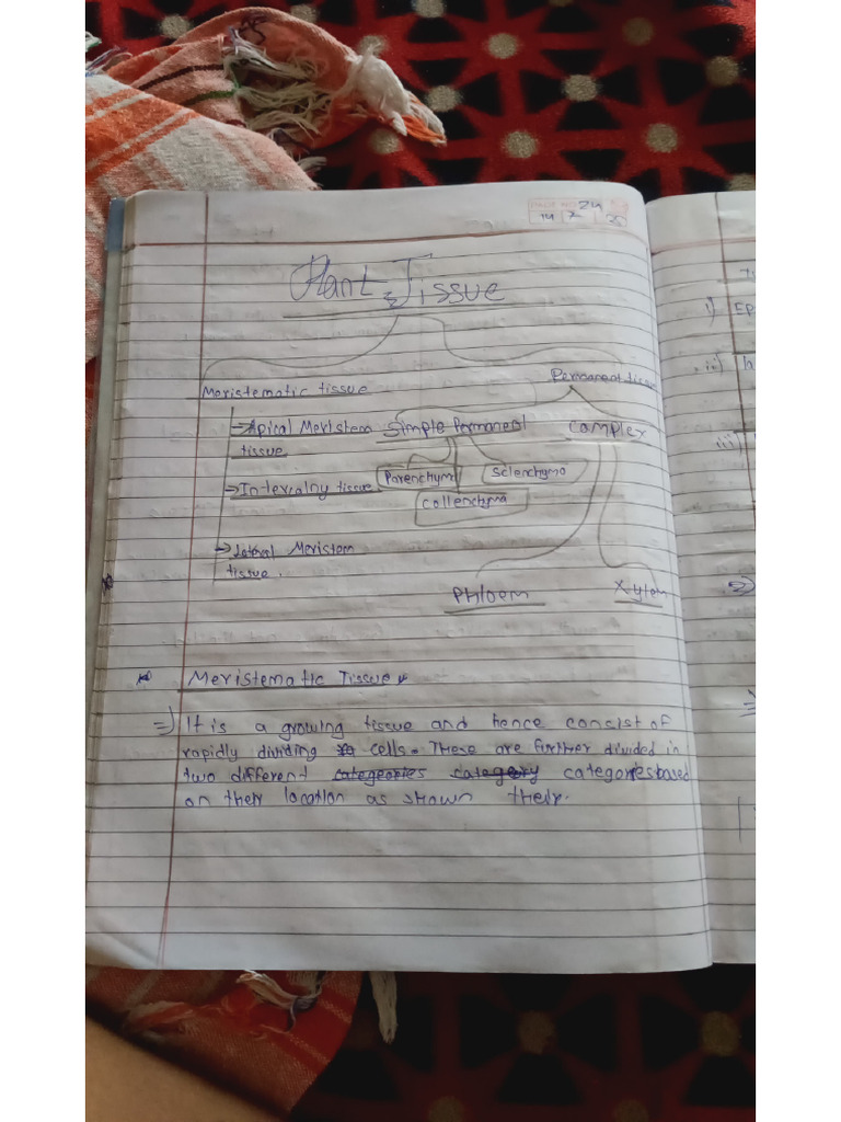Best Notes Handwritten Class 9th Tissue Plant | PDF