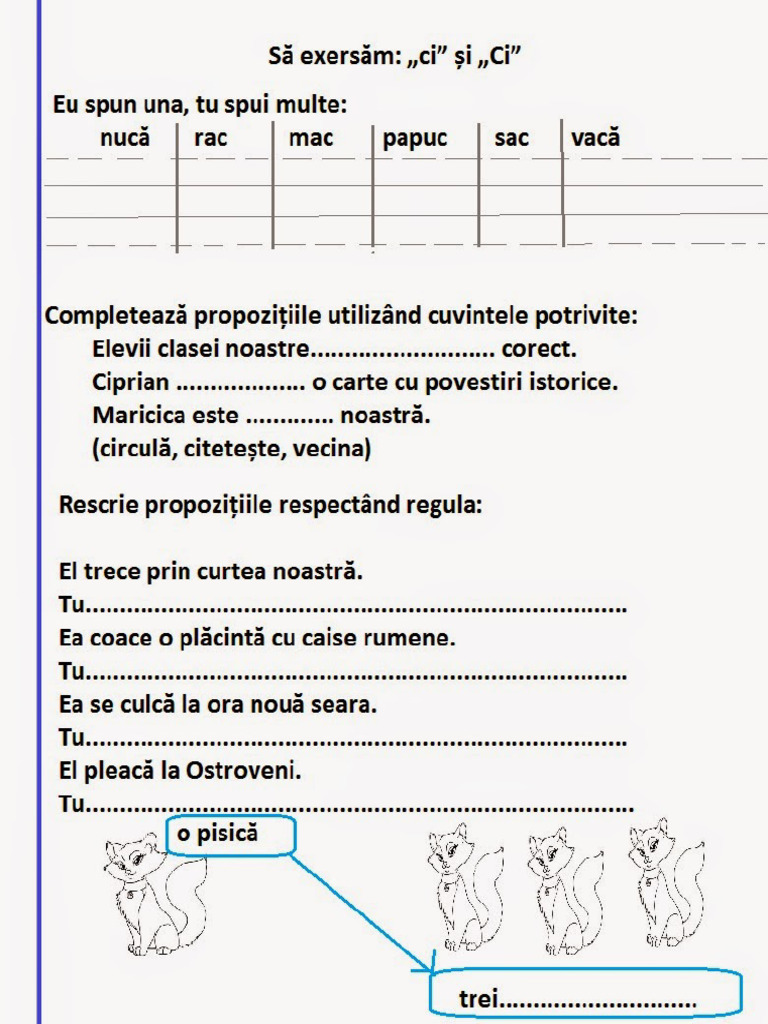 Exercitii Cu Ci | PDF