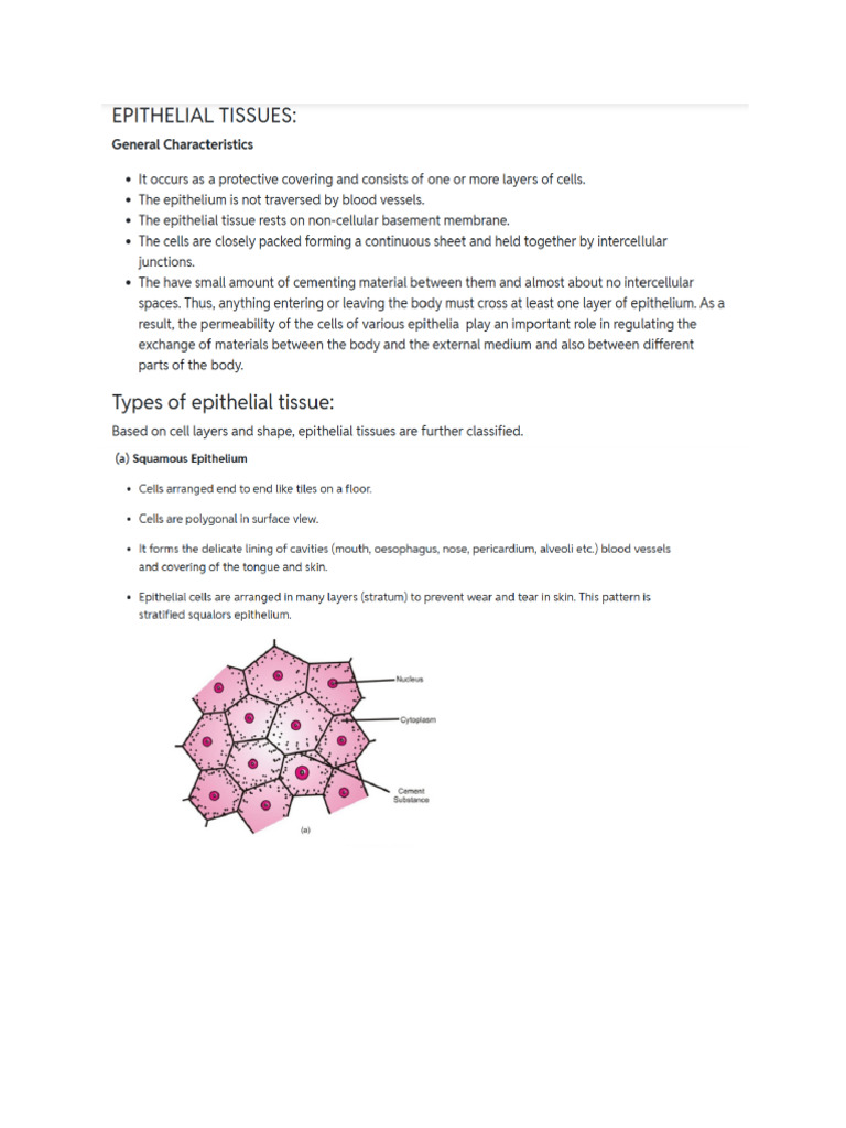 Animal Tissues-Class Revision Notes (1) | PDF