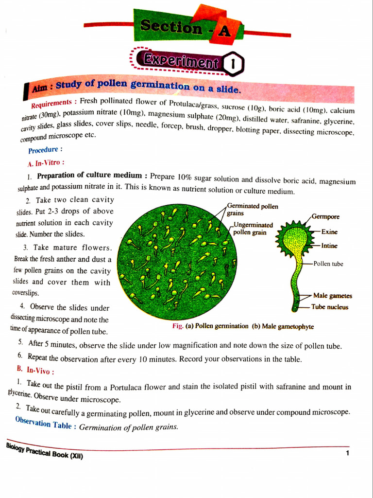 Biology Practicals Class 12th | PDF