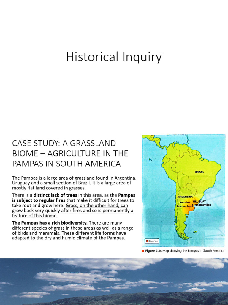 Historical Inquiry | PDF | Deforestation | Forests