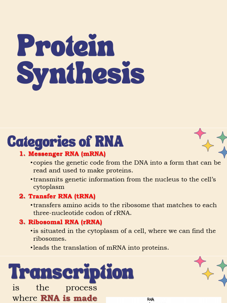 Protein-Synthesis-Transcription-and-Translation | PDF | Rna ...