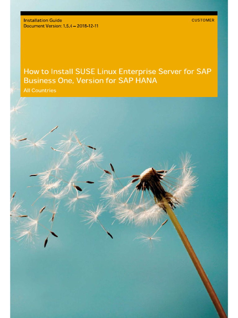 How To Install SUSE Linux Enterprise Server For SAP Business One ...