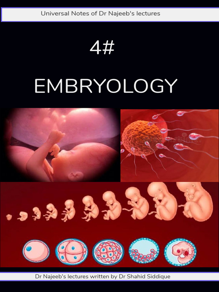 Embryology | PDF