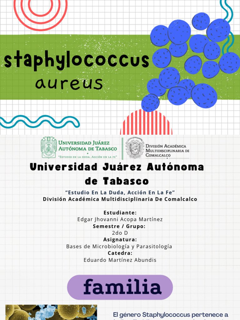 Bacteria Biology Presentation in a Bold Colorful Style.pdf | PDF ...