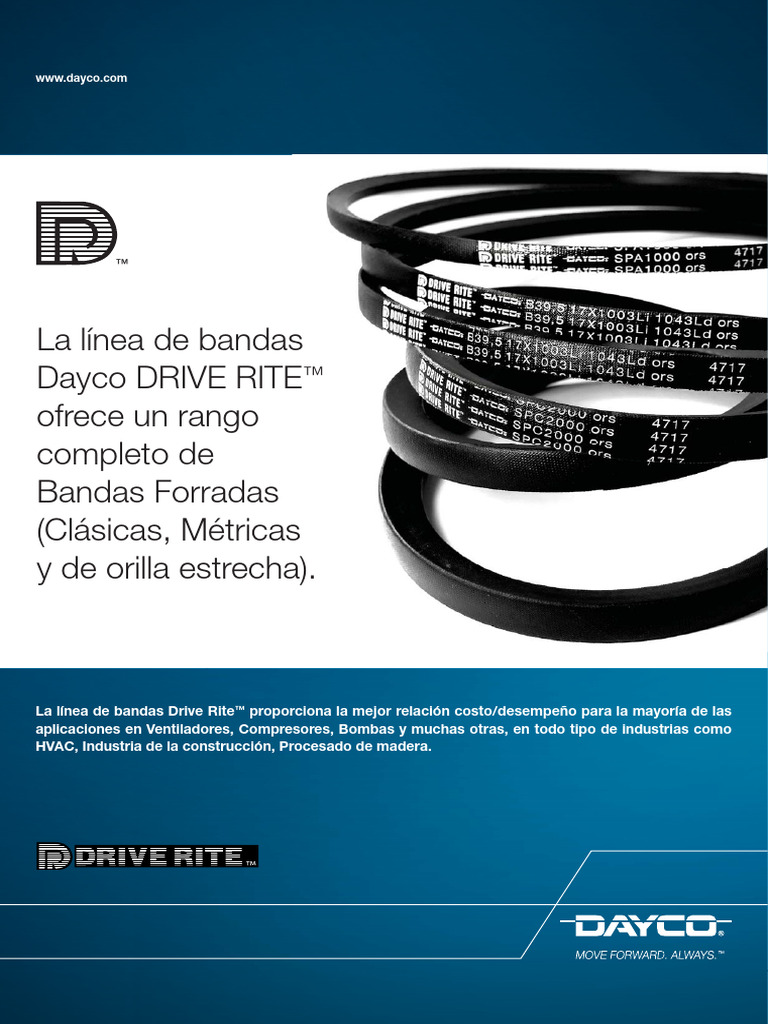 Flyer Dayco Drive Rite ES | PDF