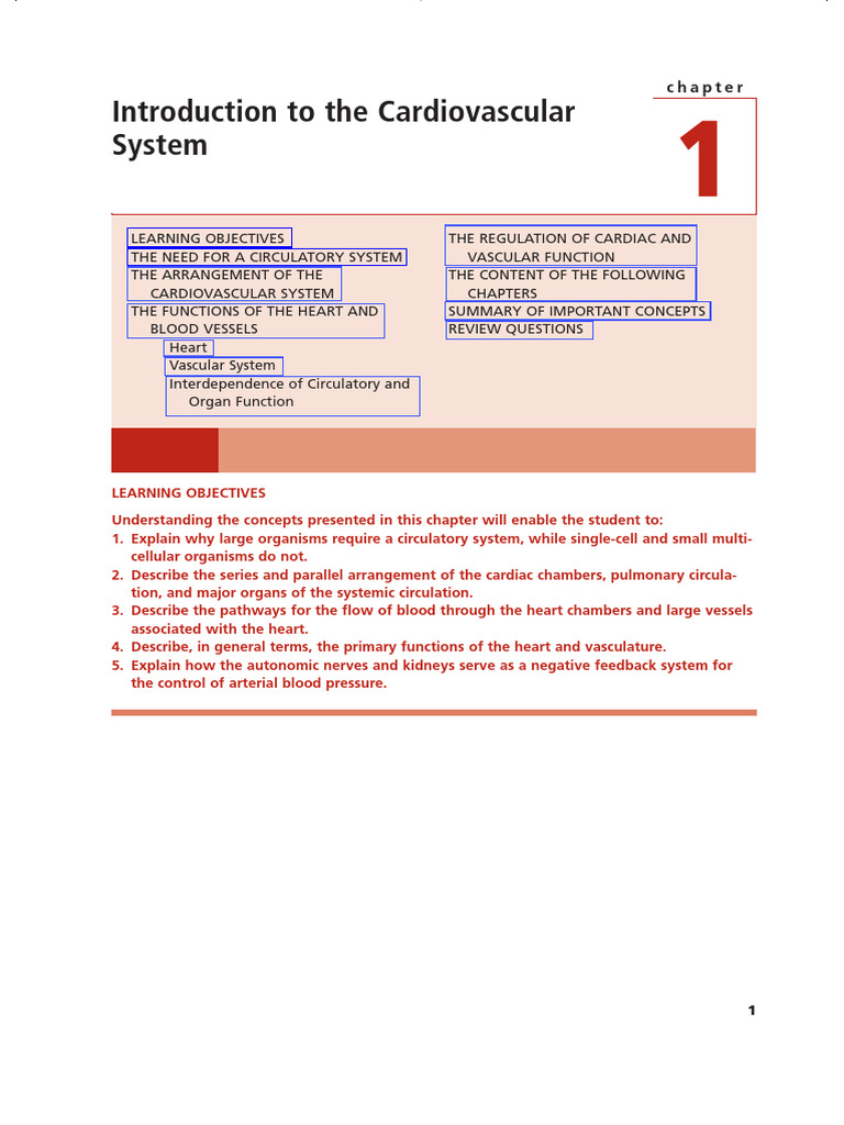 Cardiovascular Physiology Concepts | PDF | Circulatory System | Blood ...