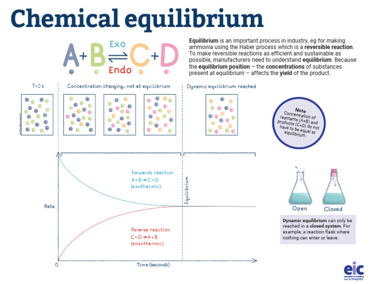 Equilibrium Poster | PDF