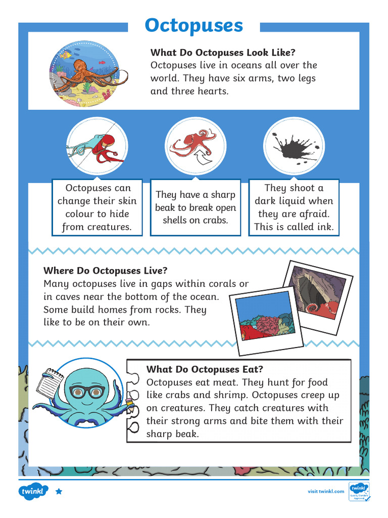 t-l-9648--octopus-differentiated-reading-comprehension-ages-57_ver_6 ...