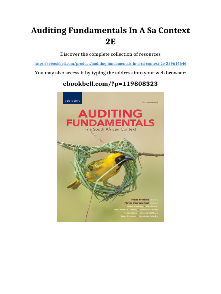 Auditing Fundamentals in a SA Context 2e full | PDF | Intellectual Property