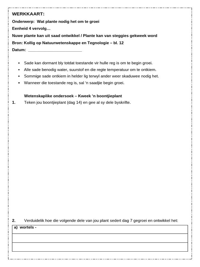 Eenheid 4 Vervolg..Nuwe Plante Kan Uit Saad Ontwikkel | PDF