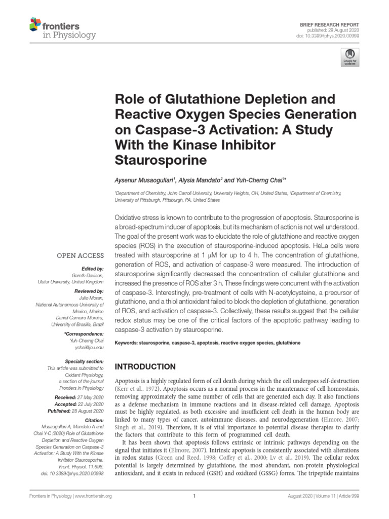 Role of Glutathione Depletion and Reactive Oxygen Species Generation on ...