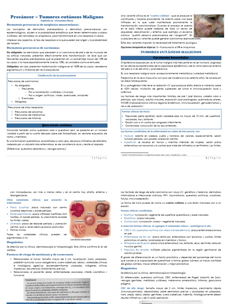 Dermato up8 apaisado | PDF | Piel | Cáncer de piel
