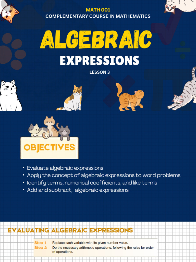 Lecture 3 - Algebraic Expressions 1 | PDF
