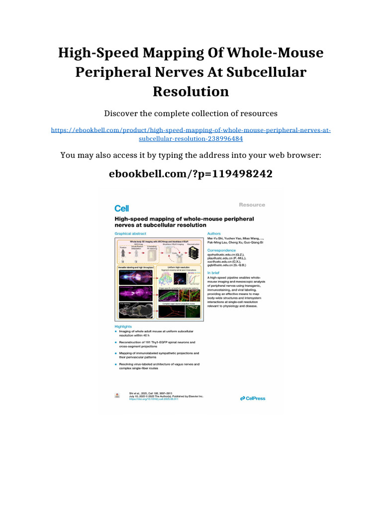 High-speed mapping of whole-mouse peripheral nerves at subcellular ...