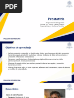 Prostatitis y epididimoorquitis: Guía clínica | PDF | Próstata ...