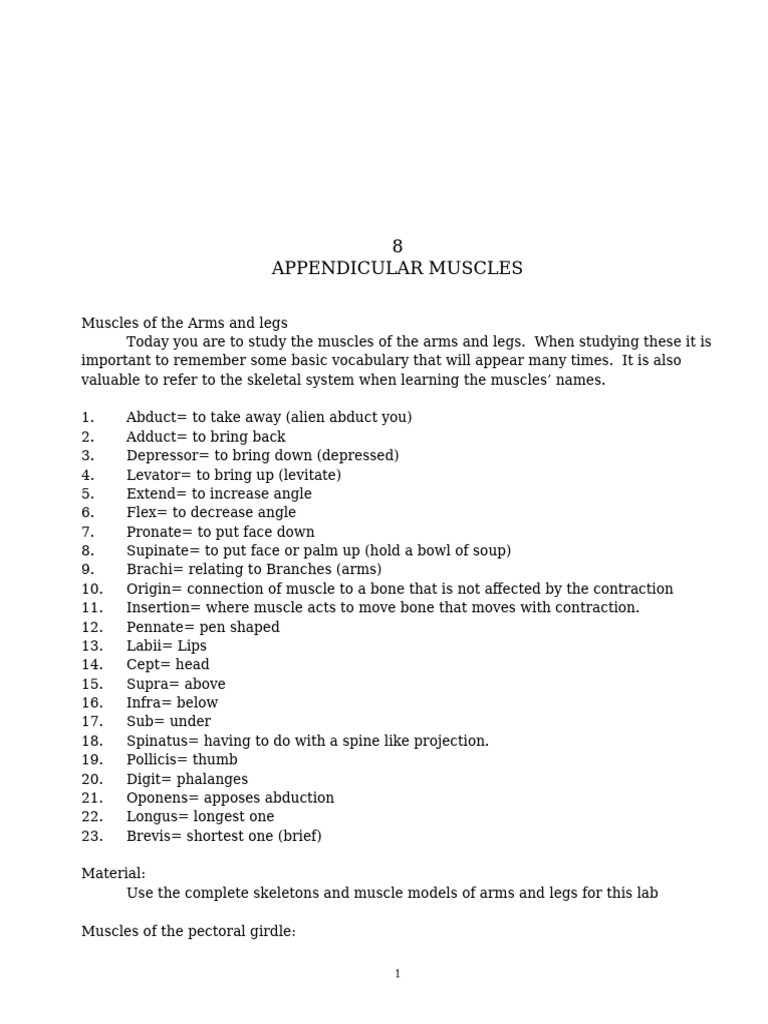 Appendicular+Musculoskeletal+Lab | PDF | Thumb | Human Leg