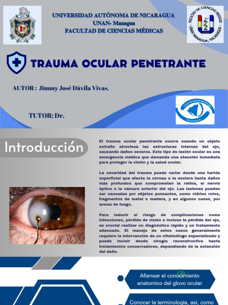 TRAUMA DE OJO PENETRANTE _20240826_060216_0000 | PDF | Ojo humano ...