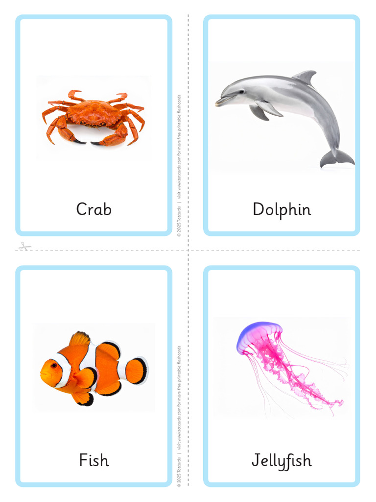 Free Under The Sea Flashcards | PDF | Zoology