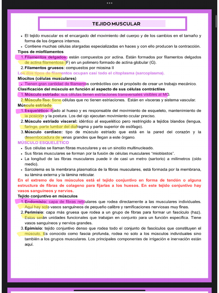 Tejido Muscular - 251208 - 182949 | PDF