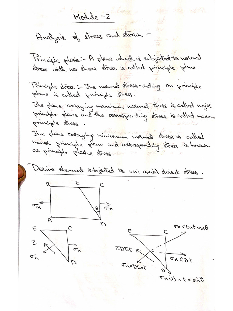 MSF Module 2 | PDF