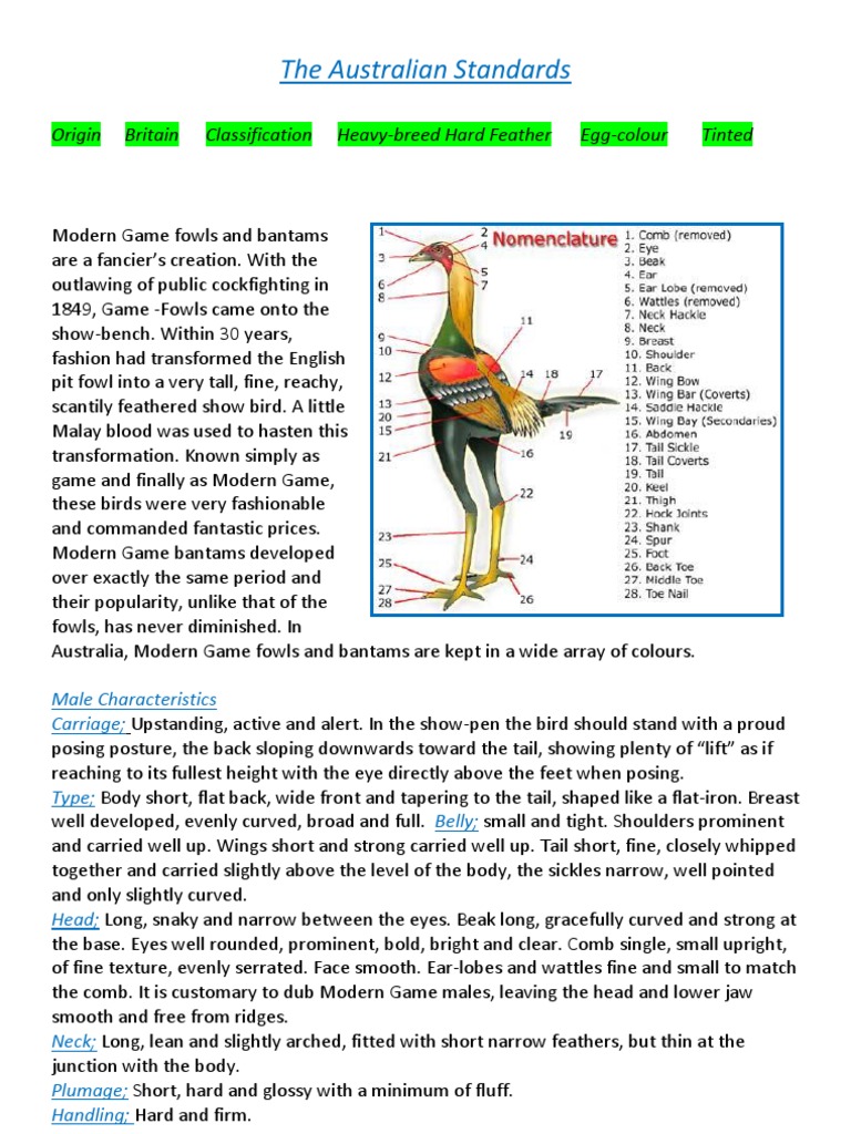 The Australian Standards | PDF | Beak | Feather