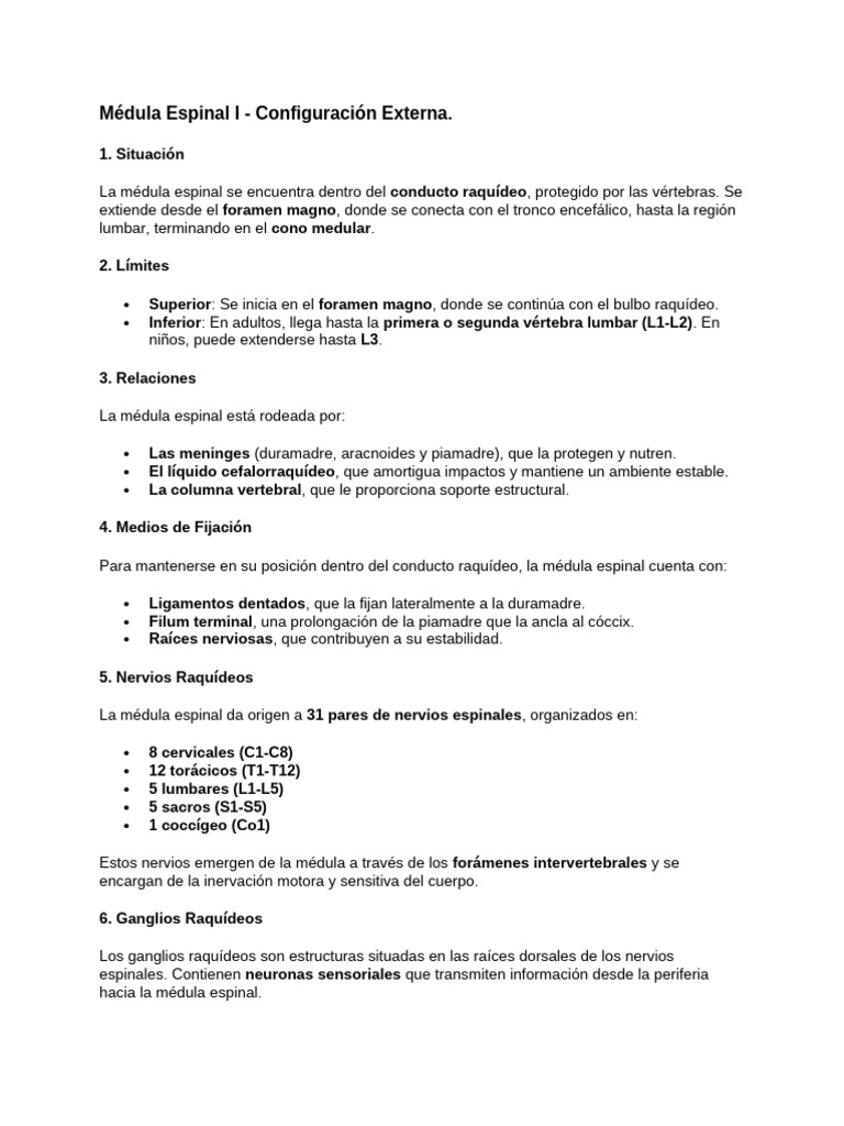 Médula Espinal | PDF | Médula espinal | Neurociencia
