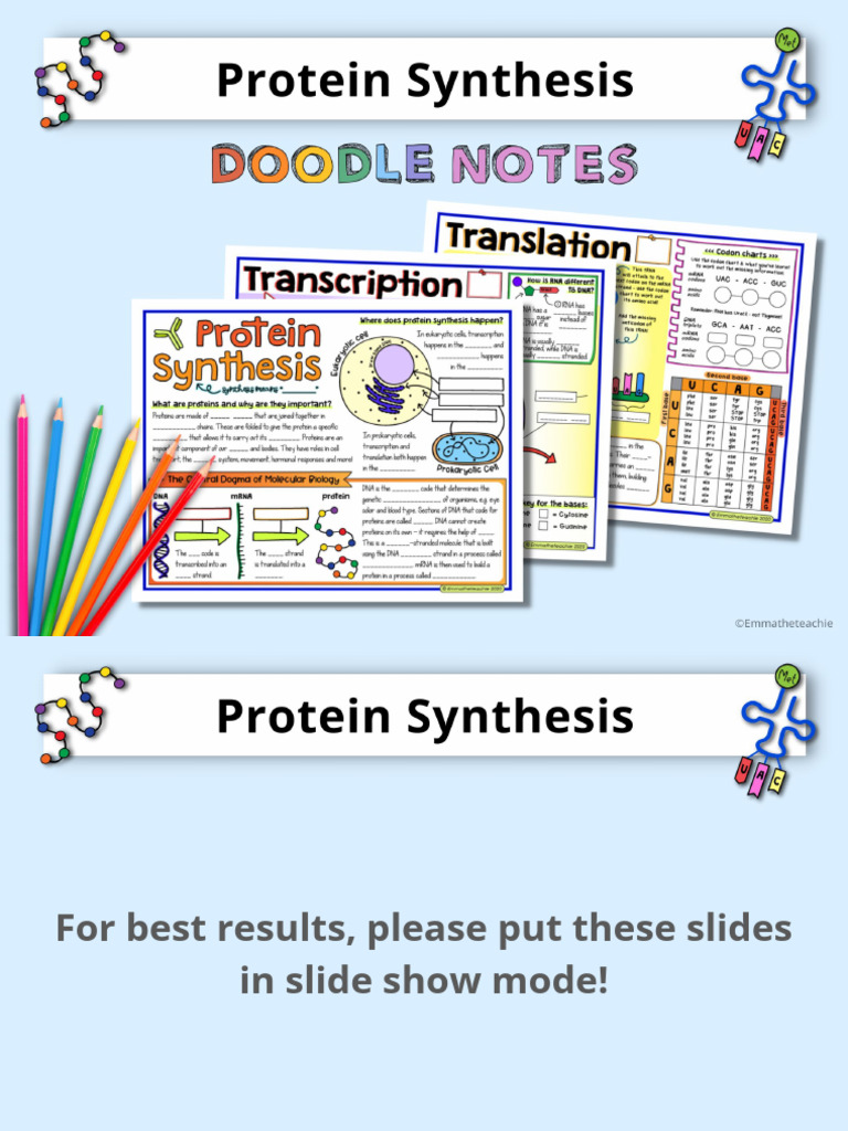 Protein Synthesis Doodle Notes | PDF
