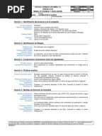 FORMATO DE RUTAGRAMA GENERICO 001