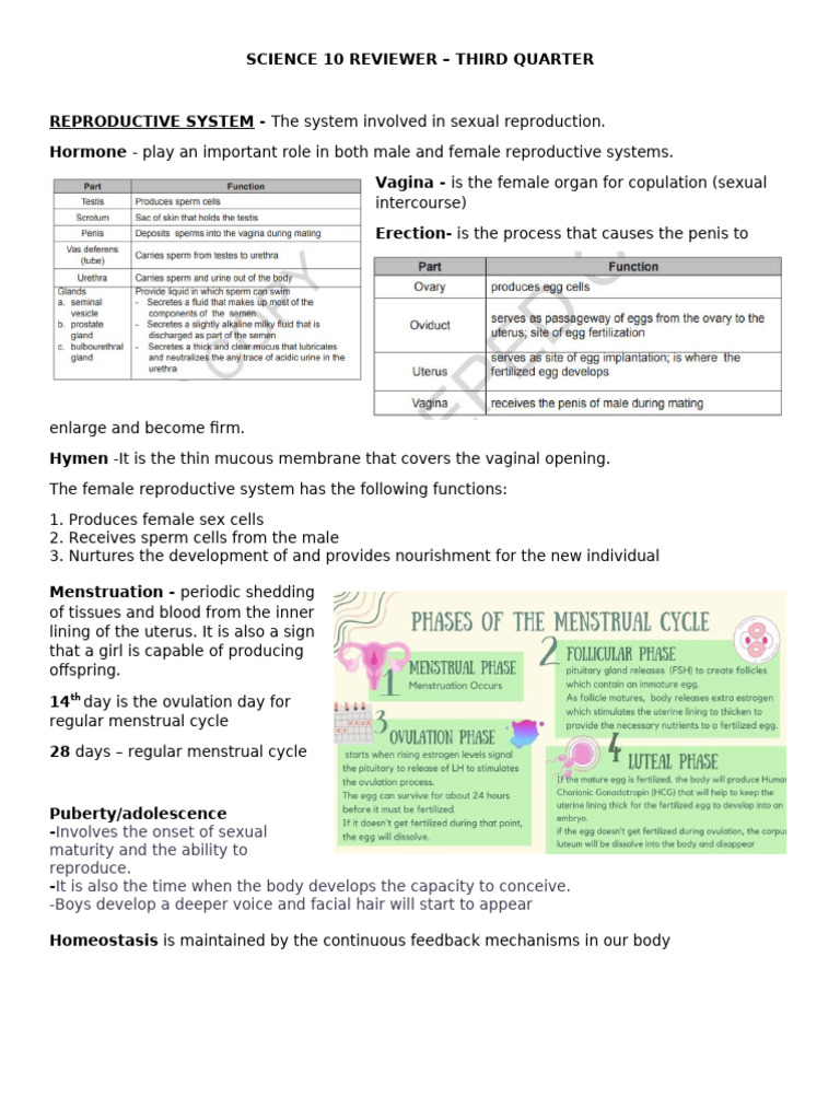 Science 10 3rd Quarter Reviewer | PDF | Dna | Rna