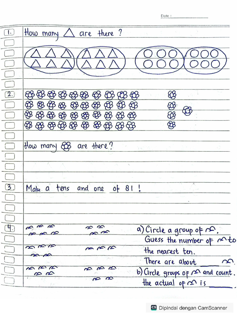 Activity Paper Primary 1 | PDF